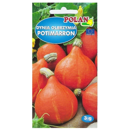 Dynia olbrzymia Potimarron nasiona 3g - POLAN - sklep RajOgrodnika.pl