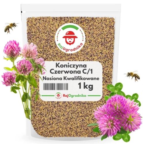 Koniczyna CZERWONA ŁĄKOWA nasiona wieloletnia C/1 KWALIFIKOWANE 1 KG ...