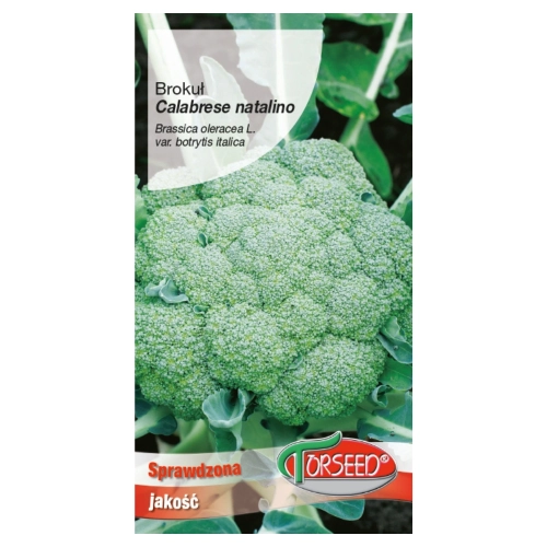 Brokuł włoski Calabrese natalino nasiona 2g - TORSEED - sklep ...